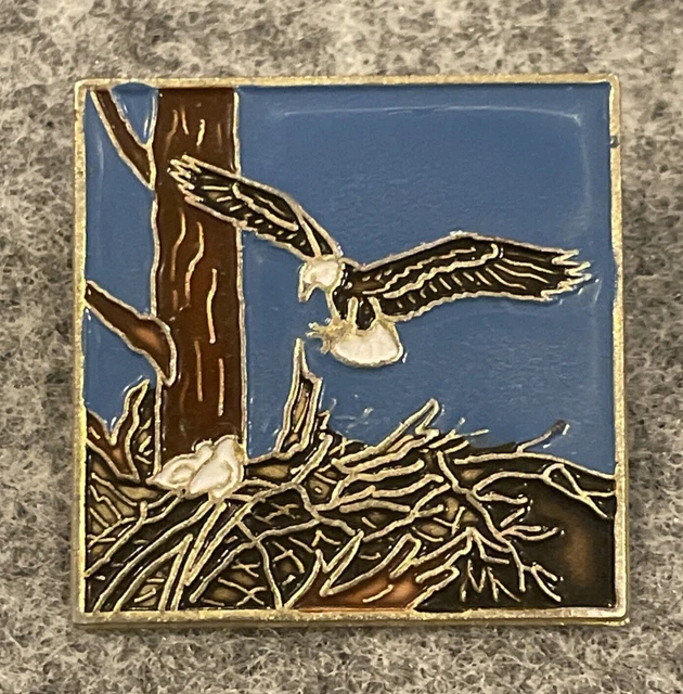BALD EAGLE NEST Bird Flying Tree Branch Landing Eggs Enamel US Vintage ...
