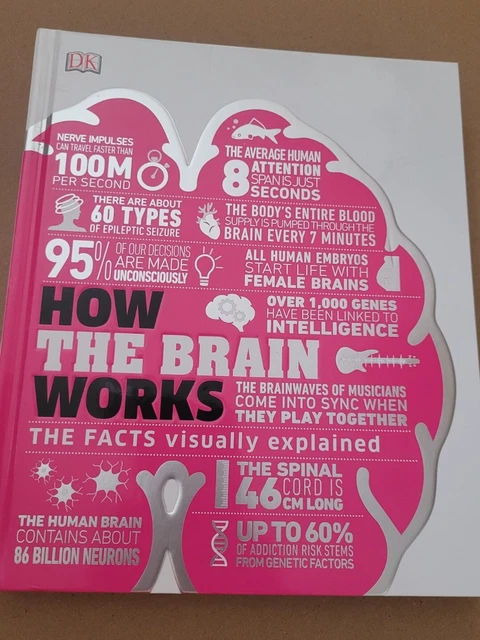 HOW THE BRAIN Works: The Facts Visually Explained - Hardback NEW £15.00 ...