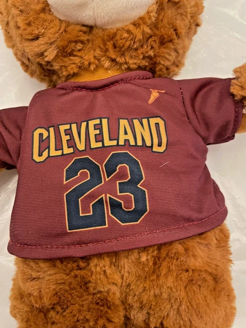 PLUSH LEBRON JAMES Cleveland Cavaliers Brown Bear 12 Inch Forever ...