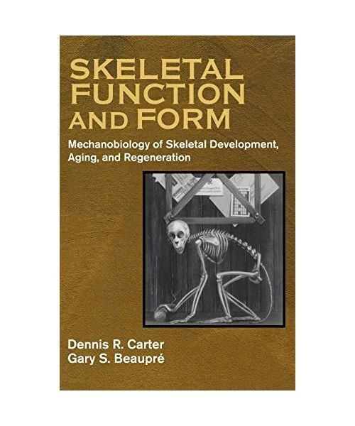 SKELETAL FUNCTION AND Form: Mechanobiology of Skeletal Development ...