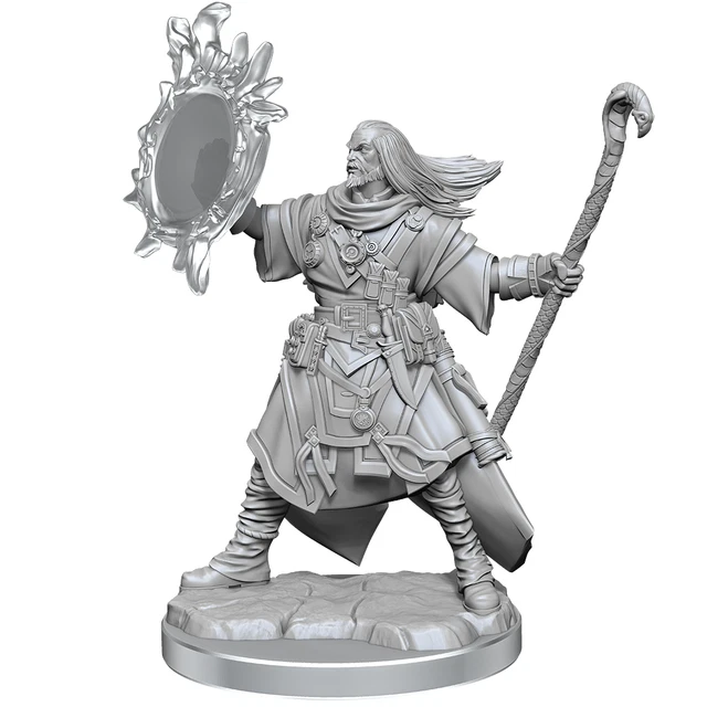 PATHFINDER LEGENDARY CUTS Human Wizard Male $20.00 - PicClick AU