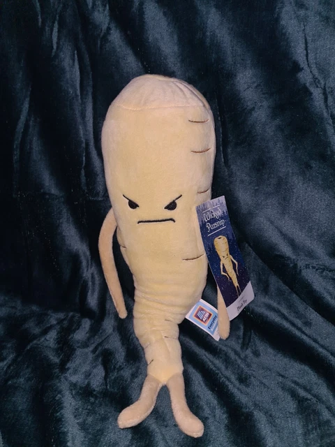 ALDI KEVIN THE Carrot Pascal the Wicked Parsnip soft toy new with tag £ ...