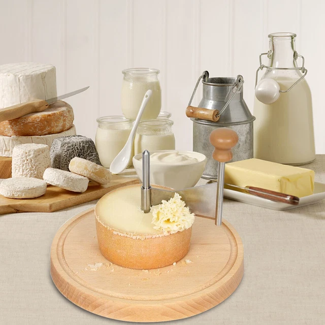 PRACTICAL DISC CHEESE Slicer Households Disk Cheese Shredder Kitchen ...