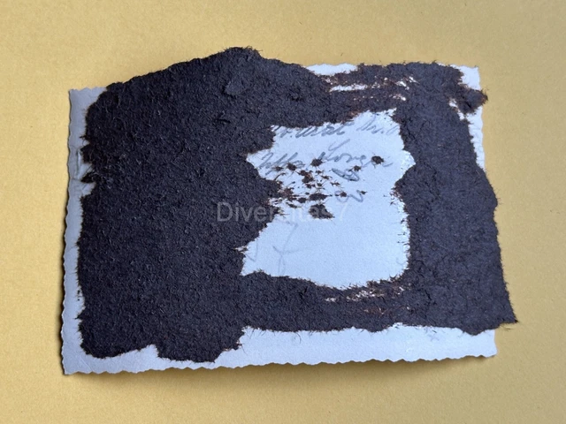 FOTO, WEHRMACHT, SANKA Transporter der Wehrmacht, D/103 EUR 4,90 ...