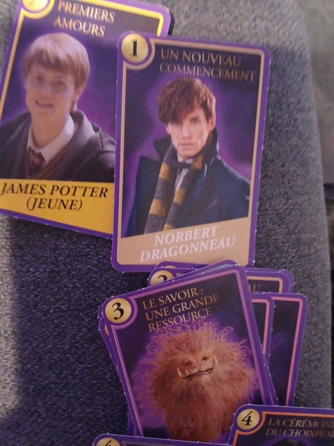 CARTE DE JEU Harry Potter, Les Animaux Fantastiques EUR 1,00 - PicClick FR