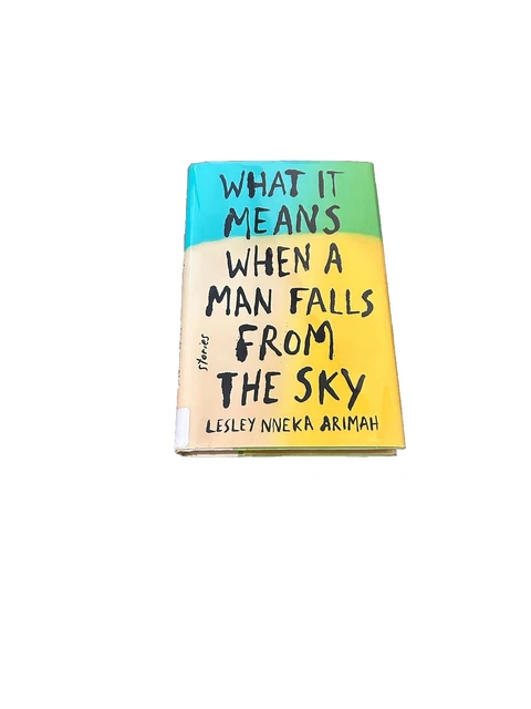 WHAT IT MEANS When a Man Falls from the Sky : Stories by Lesley Nneka ...