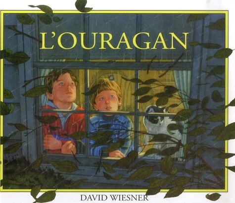 L'OURAGAN DE DAVID Wiesner et Catherine Bonhomme EUR 4,25 - PicClick FR