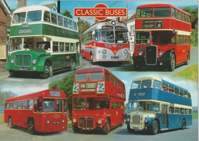 MULTIVIEW BUS POSTCARD Classic Buses AEC Regent Leyland Tiger Bristol ...