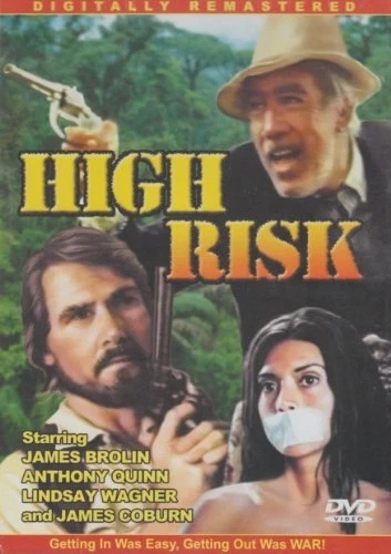 HIGH RISK (DIGITALLY Remastered & Region Free) (DVD)(VG)(With Case) £4. ...