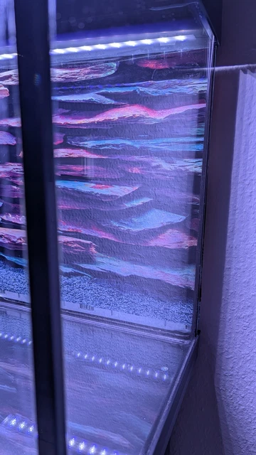 JUWEL RIO 240 Aquarium•Chihiros WRGB(per App Steuerbar)•Oase FiltoSmart ...