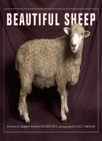 BEAUTIFUL SHEEP: PORTRAITS of Champion Breeds-Kathryn Dun, Paul Farnham ...