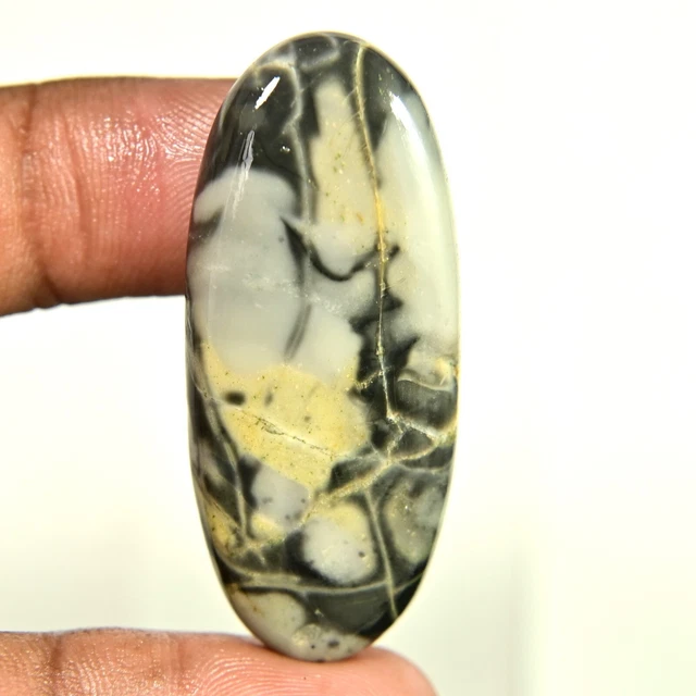 54.90CT PICASSO JASPER 100% Naturel non Traité Poli Cabochon Desseré ...