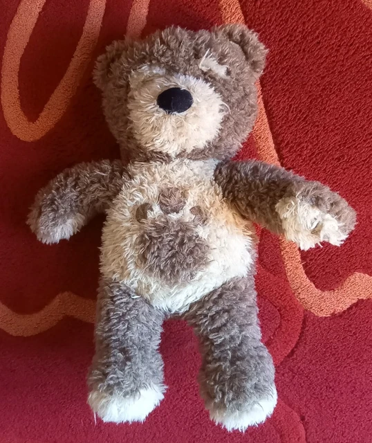 CBEEBIES CHARLEY BEAR 13" Cuddly Soft Toy Talking Vivid B £7.99 ...