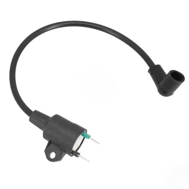 UPGRADE YOUR 2 Stroke Gasoline Generator with High Power Ignition Coil ...