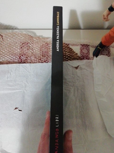 ANDREA PAZIENZA CANNIBALE FANDANGO LIBRI CARTONATO 2014 EUR 42,00 ...