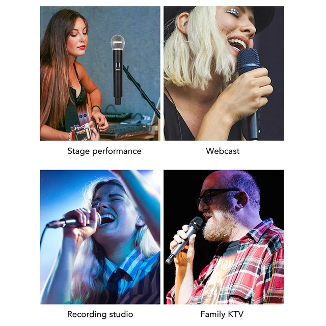 WIRELESS MIC SYSTEM Cordless With Rechargeable Receiver For Karaoke ...