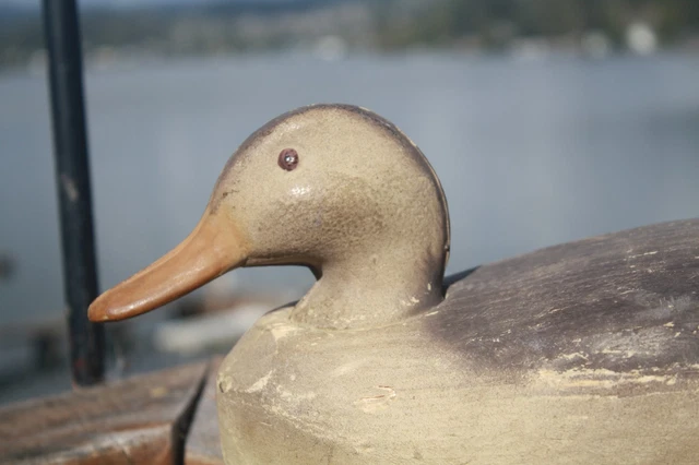MALLARD HEN DECOY made by Herter's, Balsa wood, plastic head, OP. $81. ...