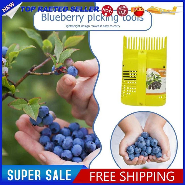 BLUEBERRY PICKER ERGONOMIC Orchard Fruit Picker Fruit Basket Garden ...