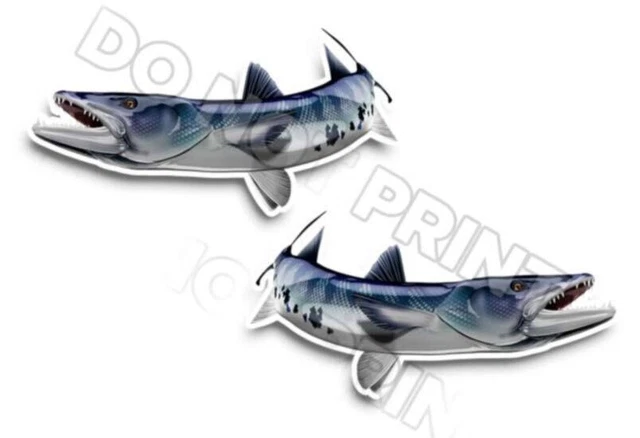 RV DECALS BARRACUDA Fish Stickers 24" Boat Graphics Fishing Sticker #5 ...