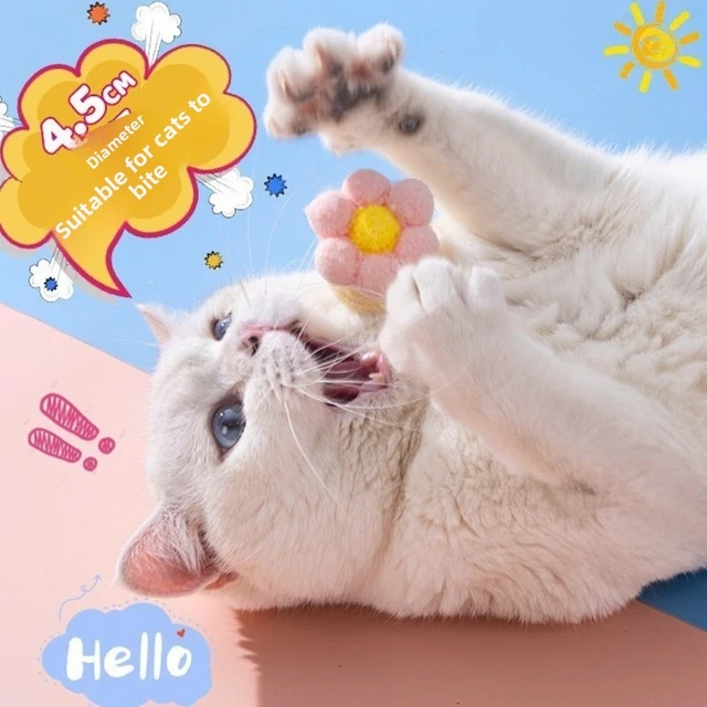 6 PIECES /SET Flower Shape Teeth Grinding Ball Cat Self Entertainment ...