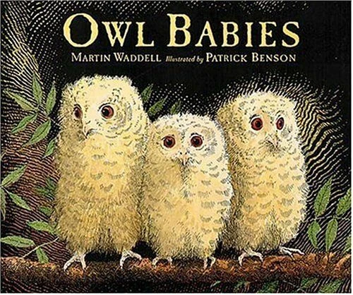 OWL BABIES BY Waddell, Martin 1564029654 FREE Shipping EUR 8,98 ...