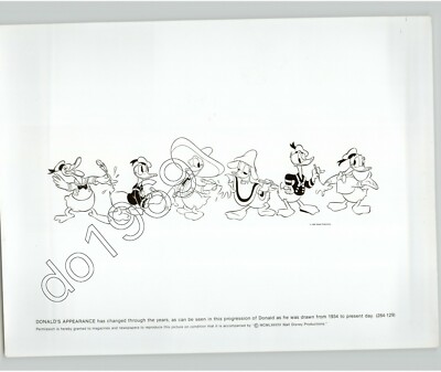 WALT DISNEY’S DONALD Duck Animation Changes Over Time 1984 Press Photo ...
