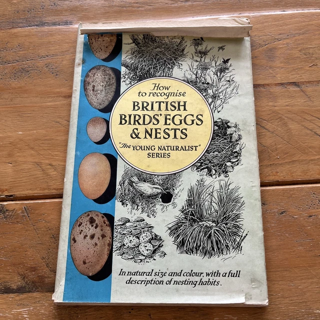 BRITISH BIRDS EGGS and Nests Eric Pockin Vintage Hardback Book £9.99 ...