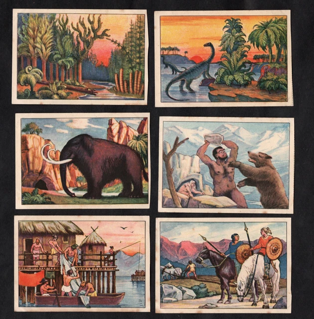 EVOLUTION RARE CARD Set 1928 Echte Dinosaurs Mammoth Prehistoric Man ...
