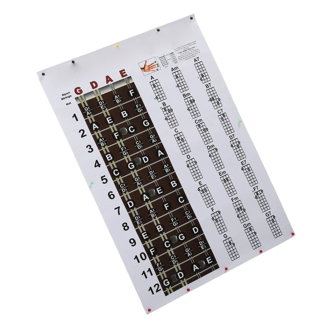 MANDOLIN CHORD CHART Poster HD Color Prints Mandolin Fretboard Notes ...