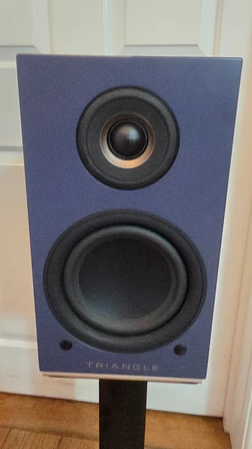TRIANGLE AIO TWIN Active Speakers, Blue, Pristine, With Custom Stands £ ...