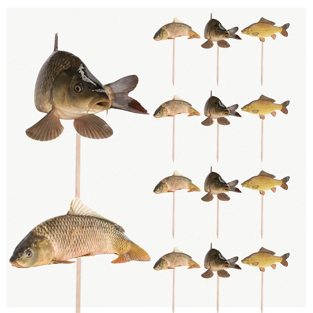 FISHING CARP BIRTHDAY Cupcake & Party Food Toppers Decorations Picks 14 ...