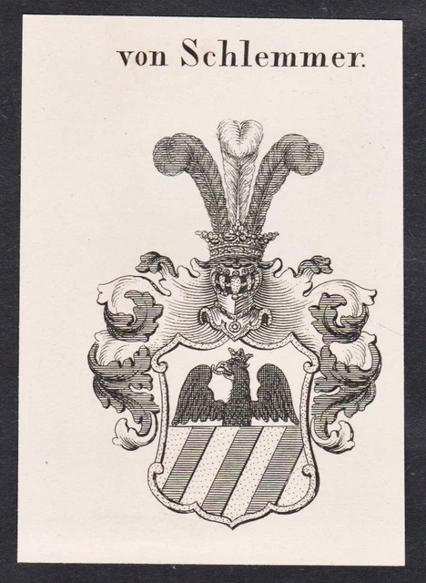 BLASON SCHLEMMER HÉRALDIQUES Généalogie Gravure 18 313942 EUR 15,18 - PicClick FR