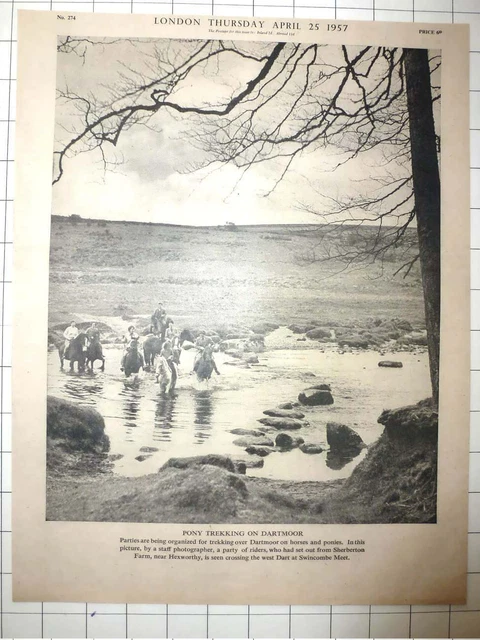 1957 PONY TREKKING On Dartmoor, Riders From Sherberton Farm Hexworthy £ ...