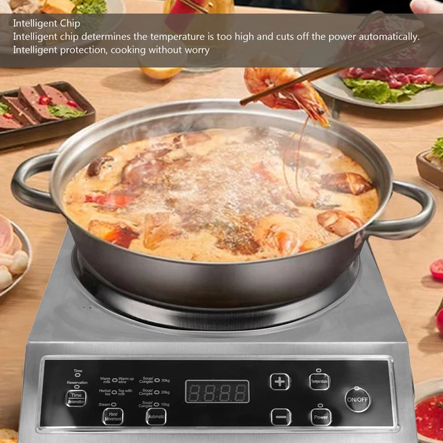 HG 3500W PORTABLE Induction Cooktop Concave Design Induction Hot Plate ...
