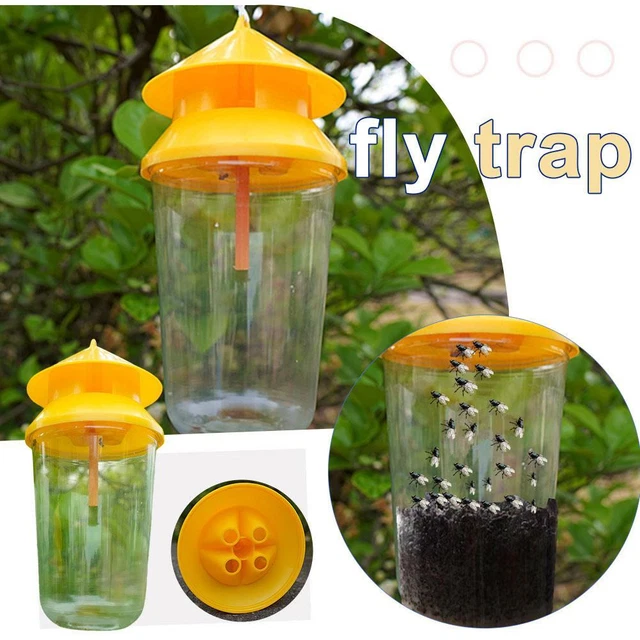 FRUIT FLY TRAP Killer Yellow Plastic Drosophila Trap Fly Fruit F Z4Y6 Anti S7Z0 EUR 4,57 ...