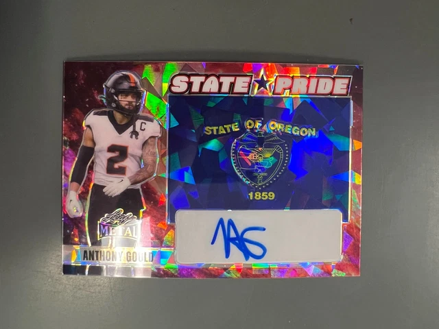 AUTOGRAPHE AUTOMATIQUE ANTHONY Gould 2024 feuille de métal State Pride ...