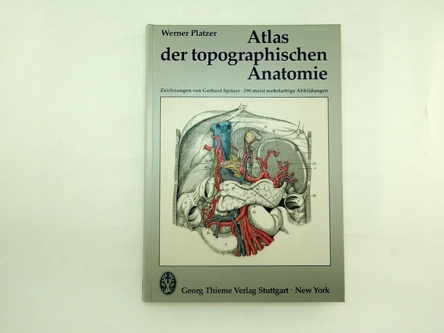 WERNER PLATZER - Atlante di anatomia topografica - 1982 EUR 45,90 ...