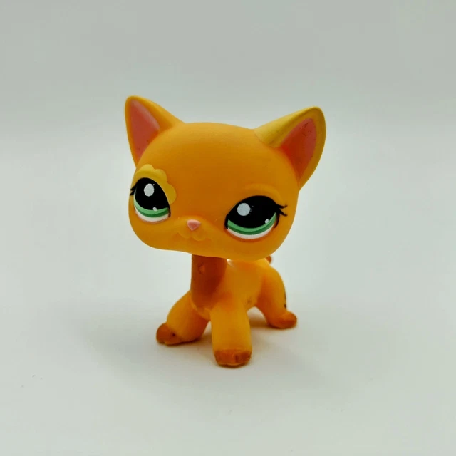 RARE HASBRO LPS Littlest Pet Shop Short Hair Cat Orange Flower Green ...