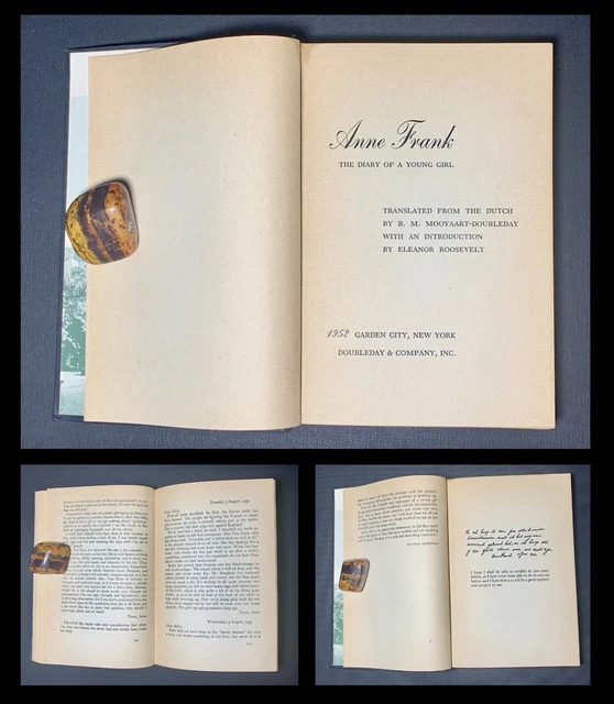 ANNE FRANK HOLOCAUST Diary WWII Nazi persecution WW2 History 1st ...