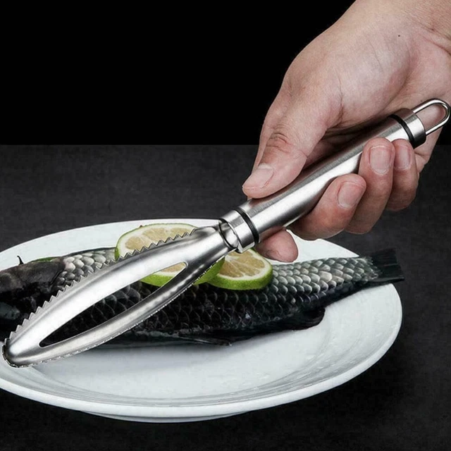 FISH KILLING TOOLS Fish Scaler High-quality Fish Scale Removal Artifact ...
