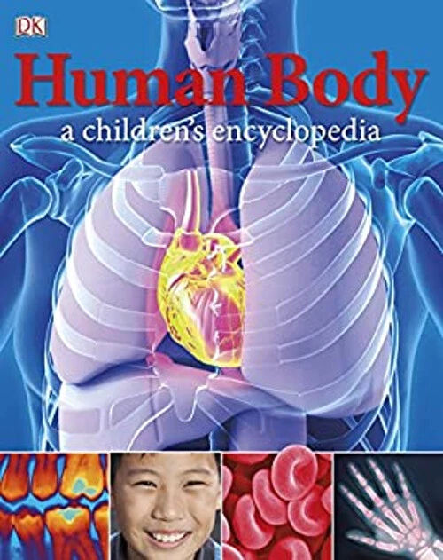 CUERPO HUMANO A Niños Enciclopedia Dorling Kindersley Publishin EUR 7 ...