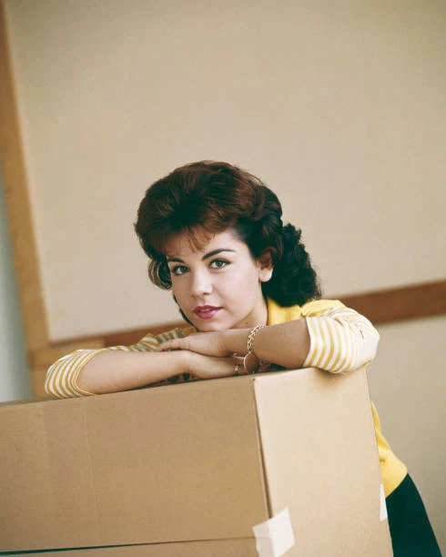 AMERICAN ACTRESS AND singer Annette Funicello circa 1965 Old Photo 10 ...