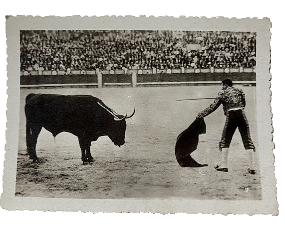 LOT DE 10 anciennes Photos Tauromachie EUR 10,00 - PicClick FR