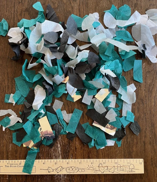 PHILADELPHIA EAGLES 2025 Super Bowl LIX Victory Confetti $22.28 ...