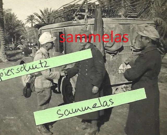 WK2 FOTO DAK Funkwagen Lager Palmen Afrikakorps LFA Legion Freies ...
