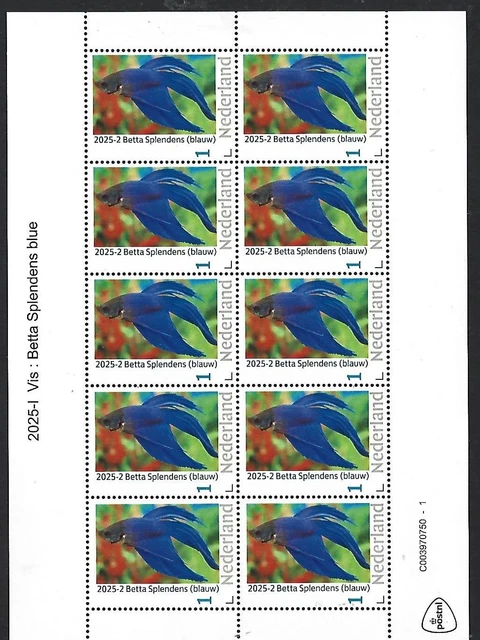NETHERLANDS 2025-3 FISH: Betta Splendens (blue) sheetlet mnh G £38.84 - PicClick UK