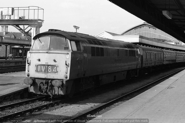 CLASS 52 WESTERN Diesels and other negatives £9.99 - PicClick UK