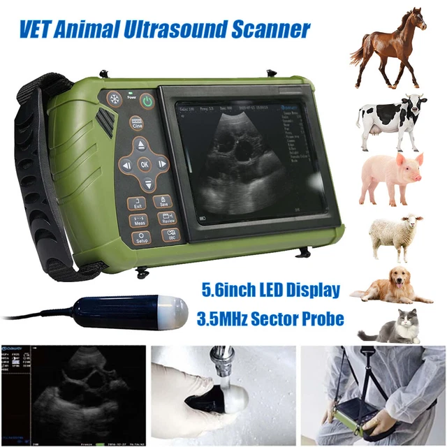 PORTABLE VETERINARY ULTRASOUND Machine Handheld Scanner for Animals ...