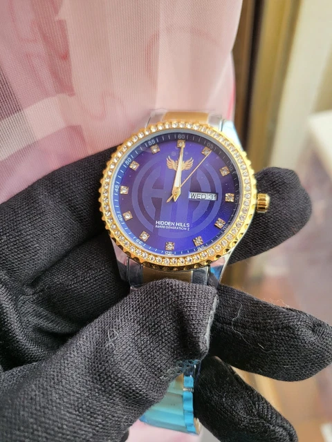 MONTRE HIDDEN HILLS Watch Co. 86,400 GEN 2 BLUE Édition Limitée EUR 199 ...