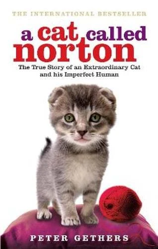 A CAT CALLED Norton par Peter Gethers : Neuf EUR 75,58 - PicClick FR